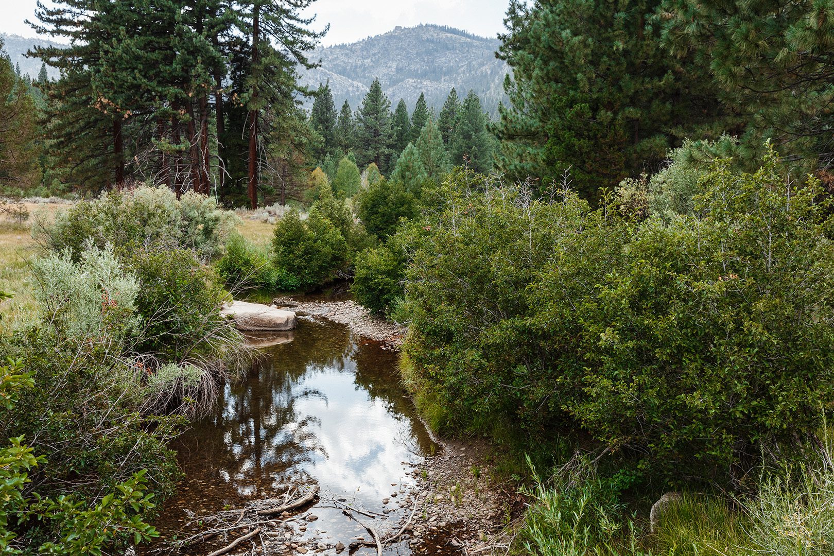 Resource Stewardship | Parks California