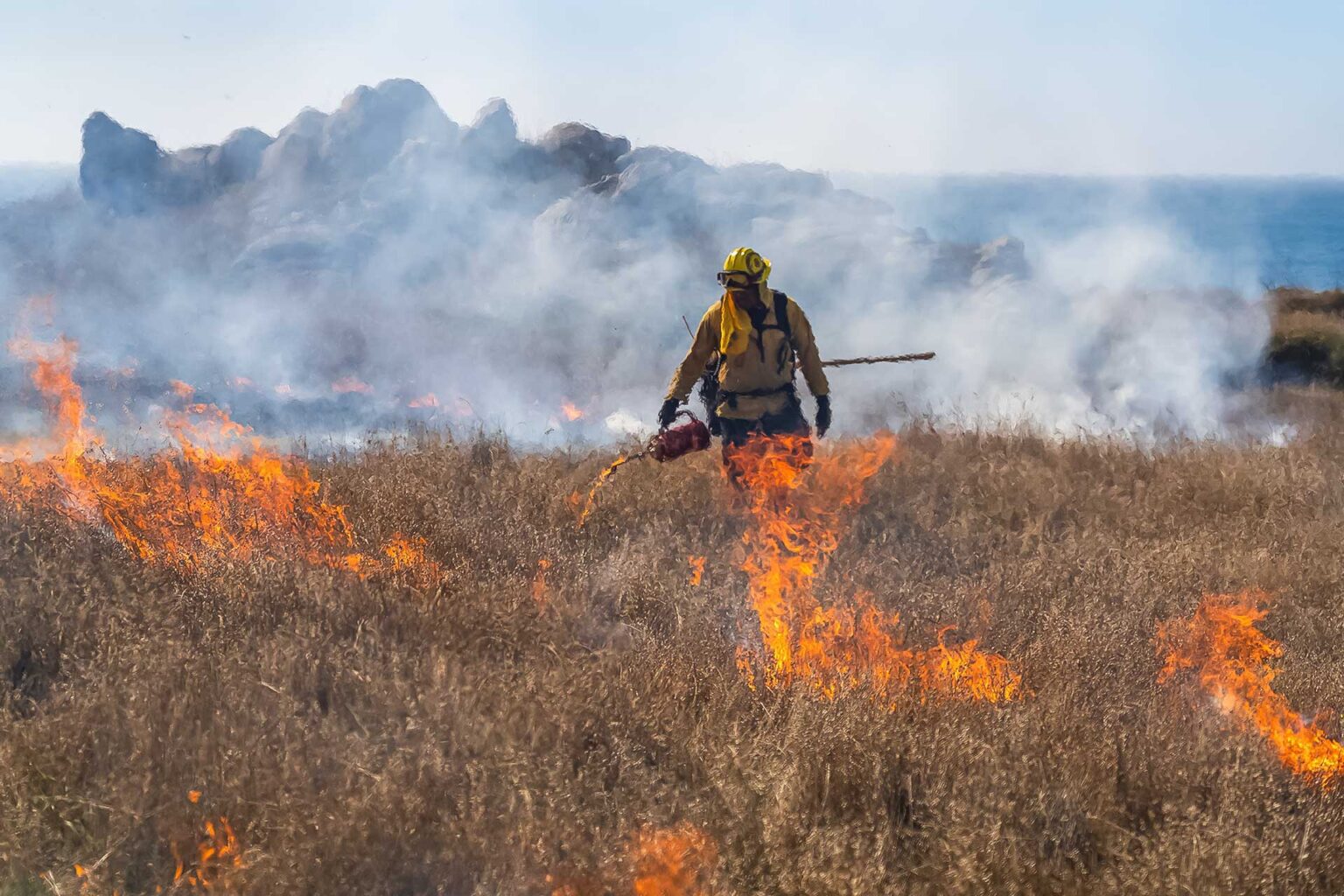 Confronting Wildfire: California’s Renewed Relationship with Fire ...